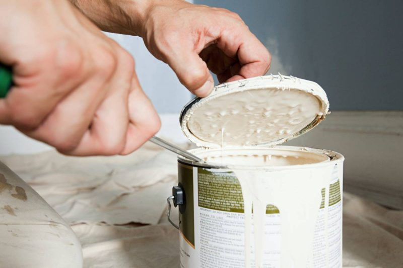 How Mold Resistant Paint Effectively Prevent Mold in Your Home
