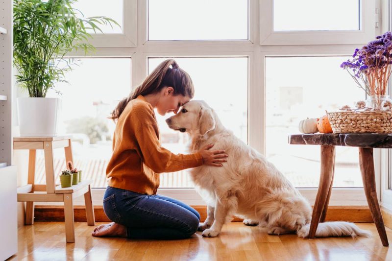 The Psychology of Animal Lovers: Why Do We Bond with?