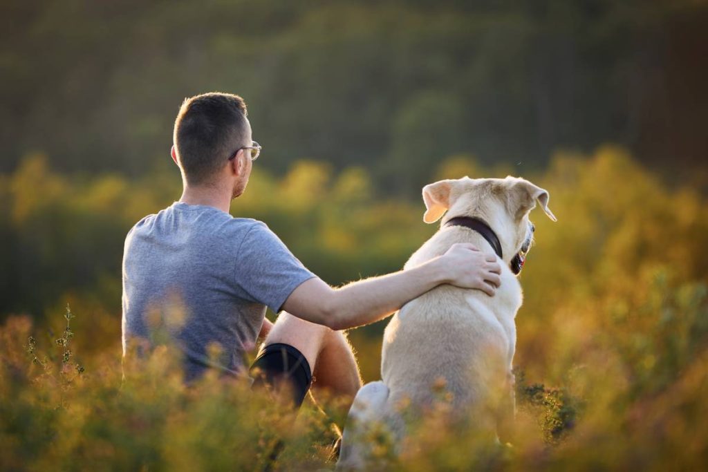 The Psychology of Animal Lovers: Why Do We Bond with?