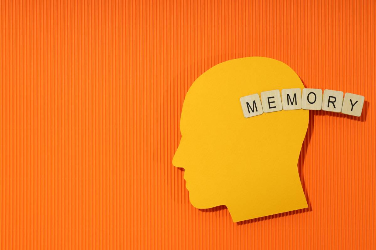 From Synapses to Memories : How our brain stores life Moments